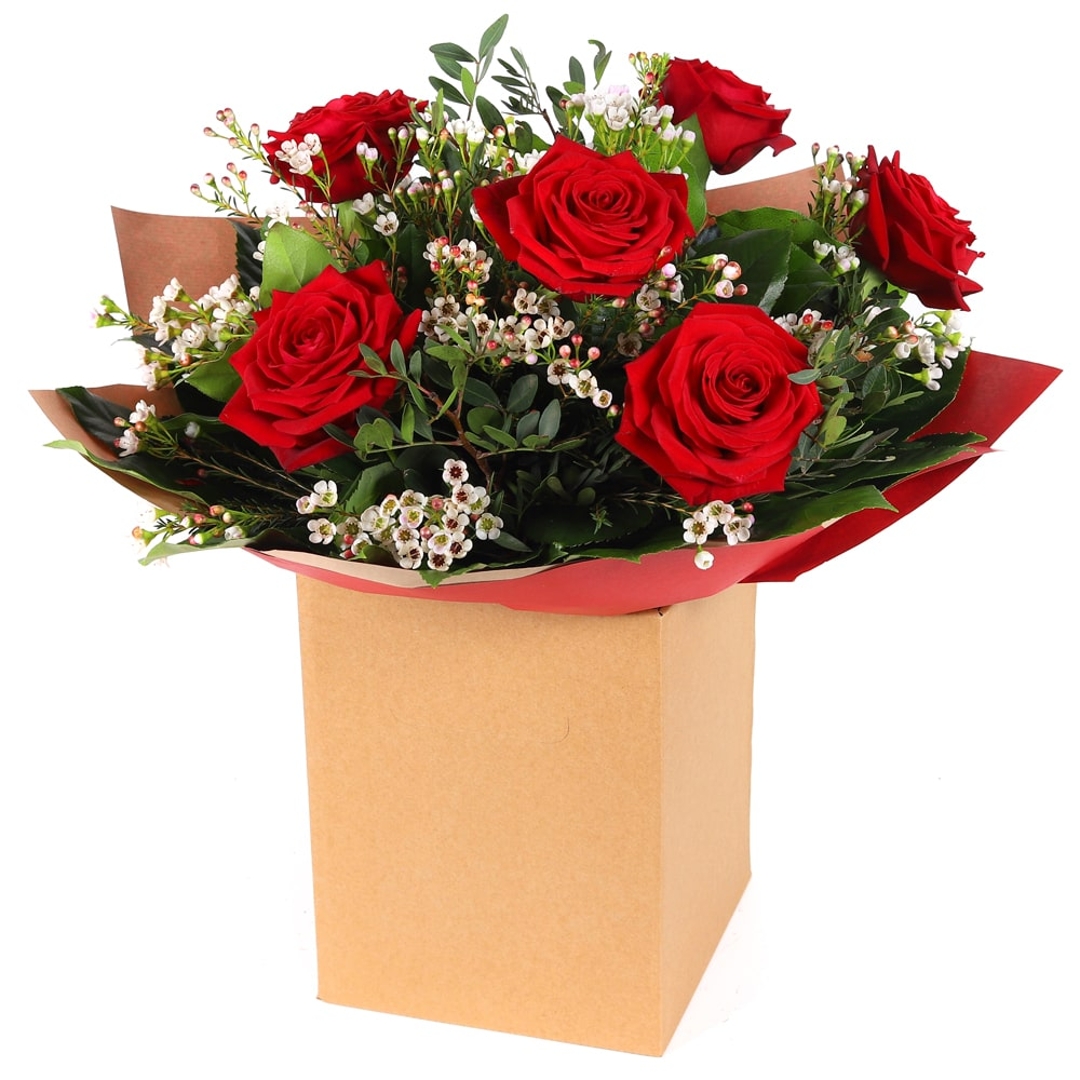 Six Roses of Romance – buy online or call 0117 950 8589 - Flower shop